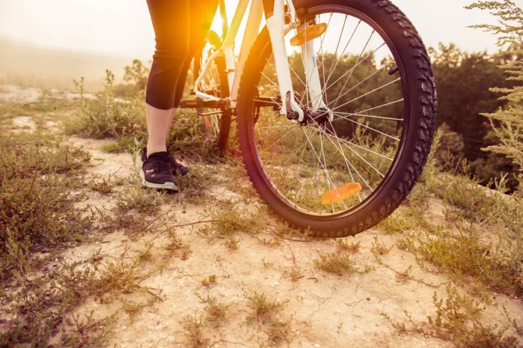 26 Vs 29 Mountain Bike Wheels Which One Would Suit You Better 